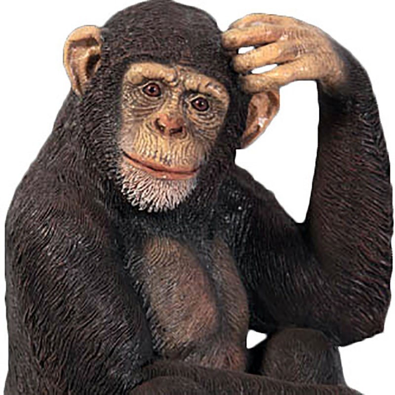 Location Singe pour vos événements à Lille et Paris - Décorations Jungle